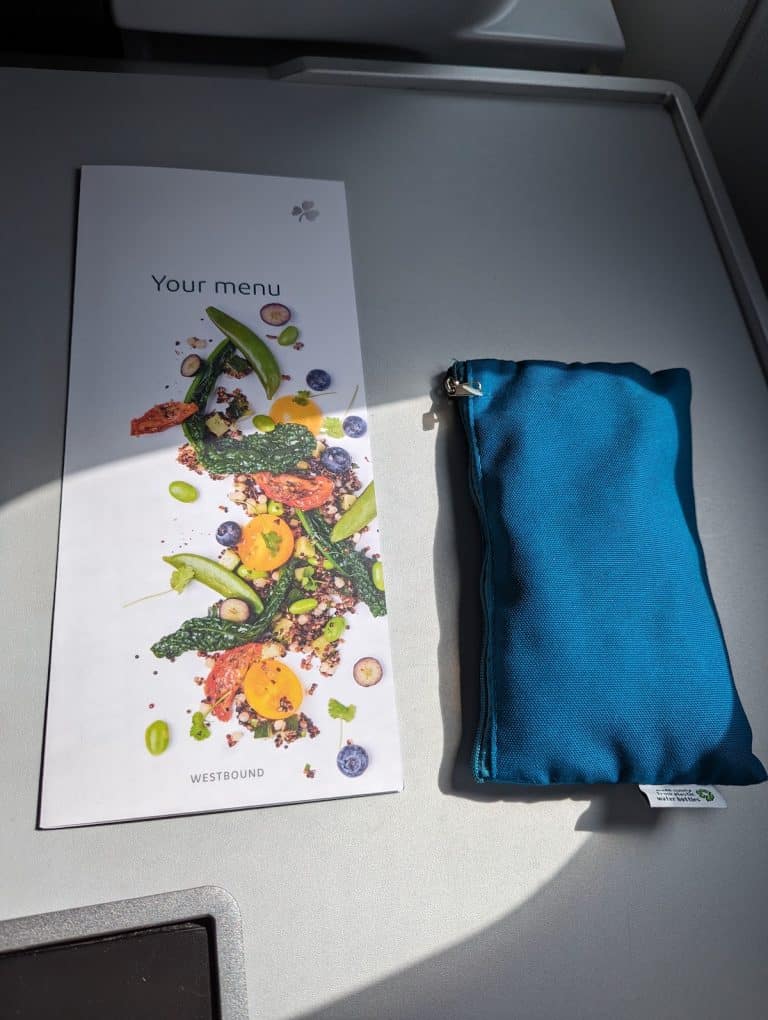 Aer Lingus A330 Business Class DUB-SEA | SingleFlyer