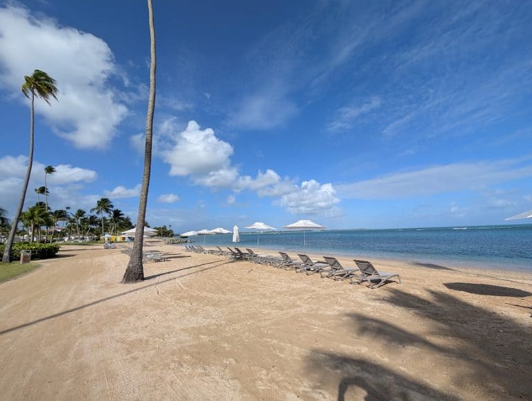 Hyatt Regency Grand Reserve Puerto Rico Review | SingleFlyer