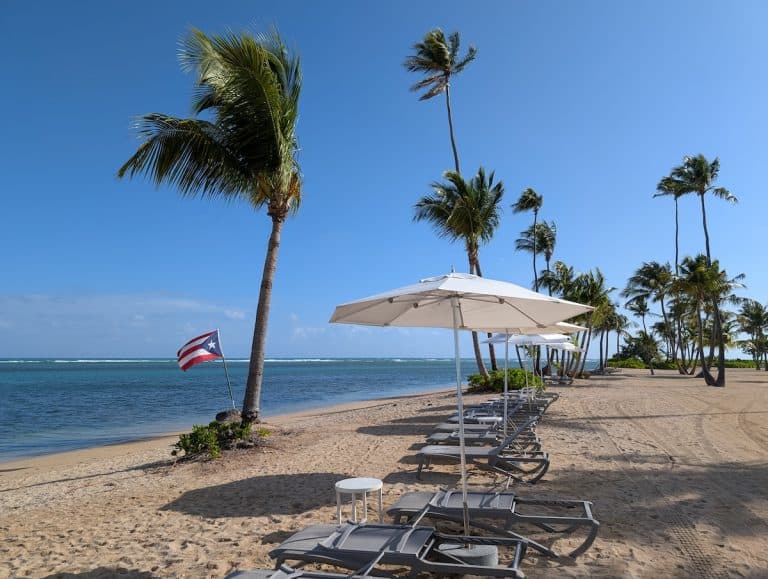 Hyatt Regency Grand Reserve Puerto Rico Review | SingleFlyer